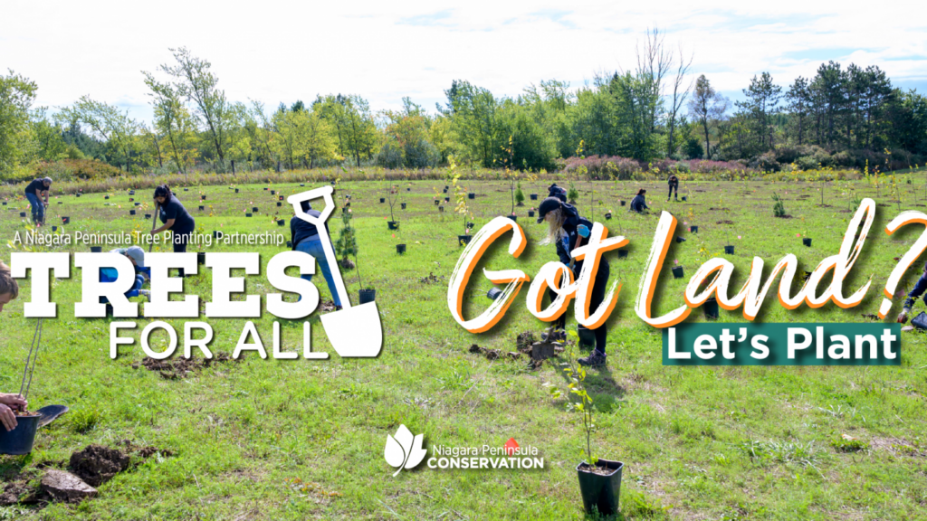 Tree Planting Partnership Invites Private Landowners to Participate in ...
